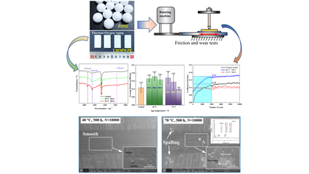 Impact of thermo-oxidative aging on the dry tribological performance ...