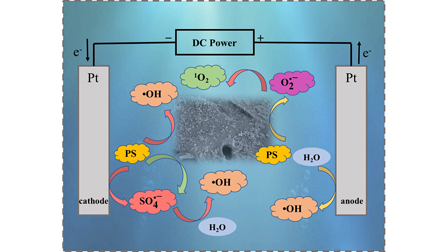 Iron-nitrogen co-doped biochar (FeN@BC) as particle electrode for three-dimensional (3D) electro ...