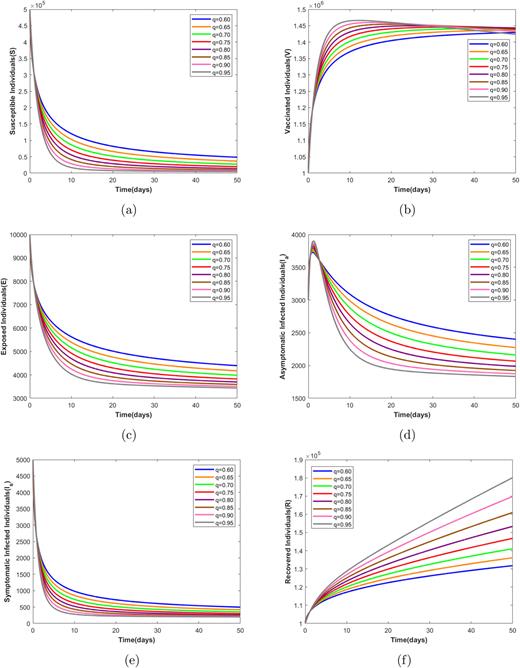 Understanding the spread of typhoid fever: Combining vaccination and ...