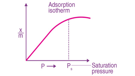 Enhancing carbon capture efficiency in biogas upgrading: A comprehensive review on adsorbents ...