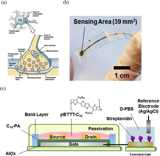 Application of artificial neural synapses in soft robots | AIP Advances ...