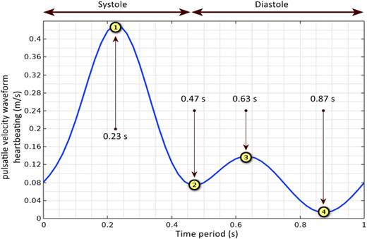 Unveiling hemodynamic pulsatile flow dynamics in carotid artery ...