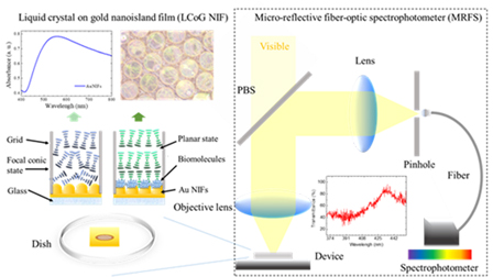 Efficient colorimetric point-of-care detection and imaging of multiple ...