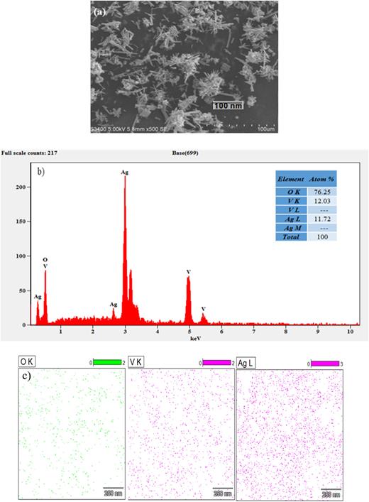 Silver vanadate nanoparticles: Green synthesis, enhanced photocatalytic ...