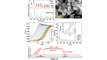 One-step ultrafast Joule heating synthesis of EuB6 ceramics and their ...