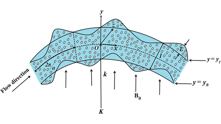 Rheological analysis of pressure-driven Jeffrey fluid flow between ...