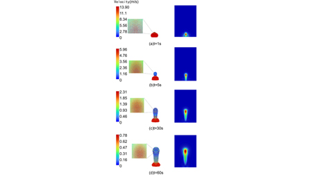 Simulation of plutonium-aerosol rise under chemical explosion ...