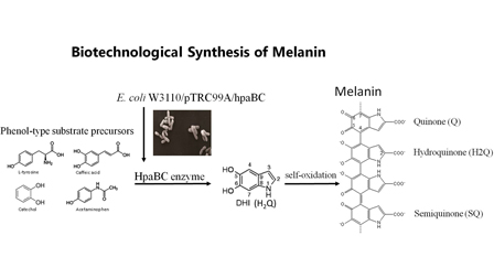 Biotechnological melanin synthesized from tyrosine vs other precursors ...