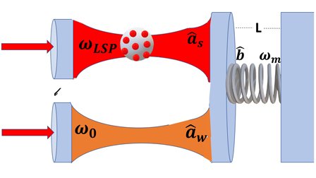 Volume 15 Issue 1 | AIP Advances | AIP Publishing