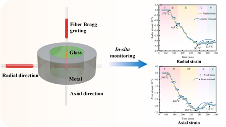 Strain rebound and inhomogeneity in glass-to-metal seals: Radial vs ...