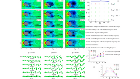 The influence of aspect ratio and attack angle on the field structure ...
