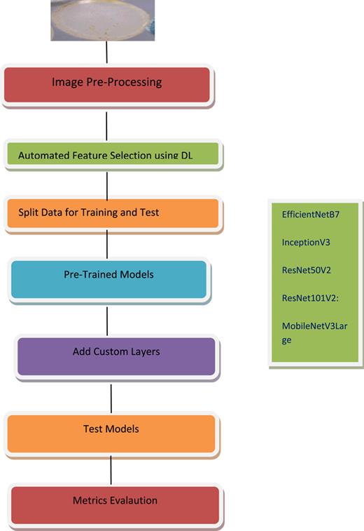 Automated Micro Plastic Detection And Classification Using Deep Convolution Neural Network Pre