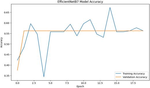 Automated micro-plastic detection and classification using deep ...