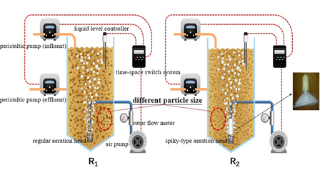 Aerobic granular sludge treating tannery wastewater and particle size ...