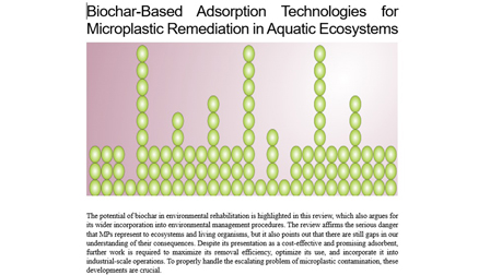 Biochar-based adsorption technologies for microplastic remediation in ...