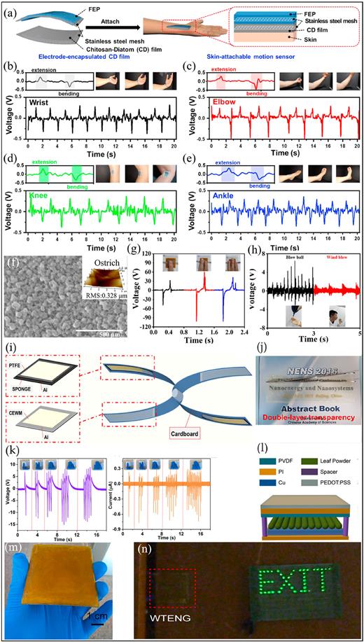 Research progress and prospects of triboelectric nanogenerator for ...