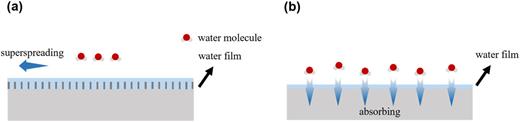 Hydrophilic antifogging surfaces: Principle, fabrication, and progress ...