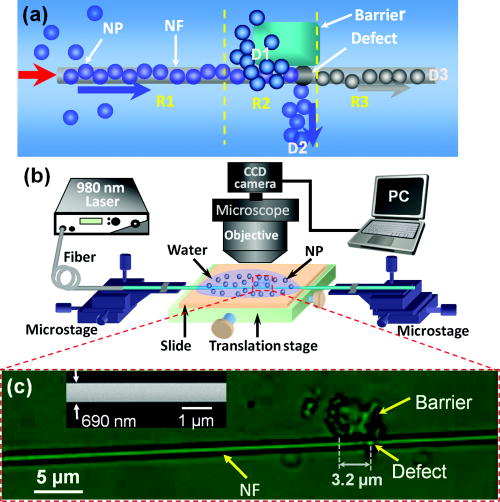 Multi-destination release of nanoparticles using an optical nanofiber ...