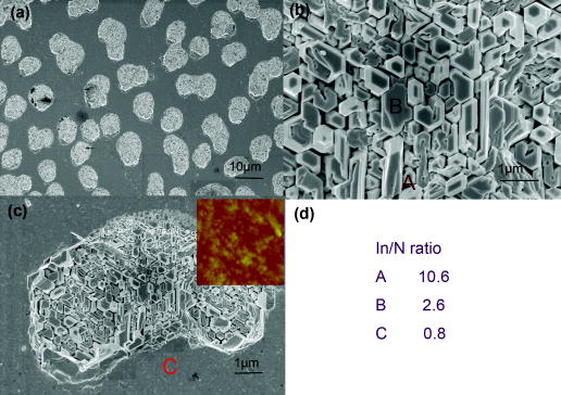 Defect-induced room temperature ferromagnetism in un-doped InN film ...