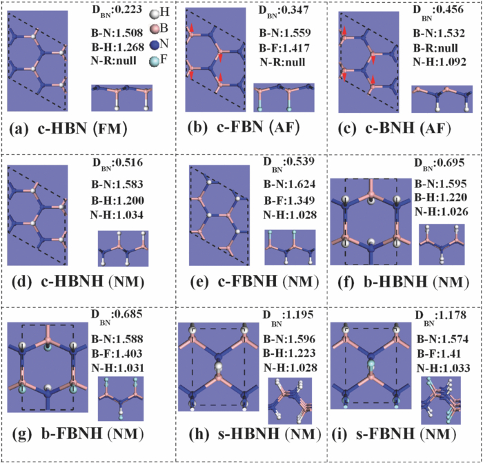 Modulation effect of hydrogen and fluorine decoration on the surface ...