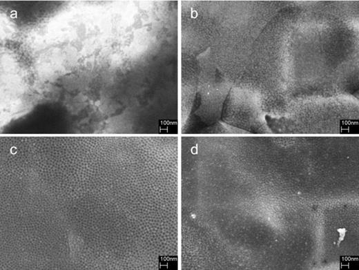 Ordered nano-scale dimple pattern formation on a titanium alloy (Ti-6Al ...