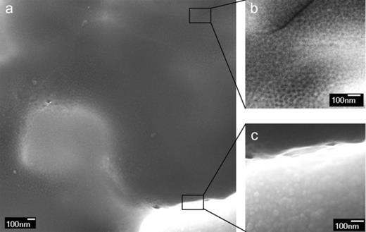 Ordered nano-scale dimple pattern formation on a titanium alloy (Ti-6Al ...