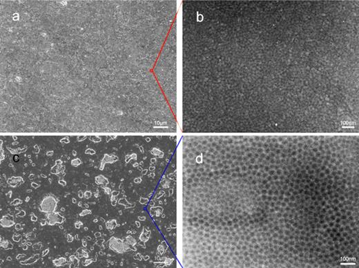 Ordered nano-scale dimple pattern formation on a titanium alloy (Ti-6Al ...