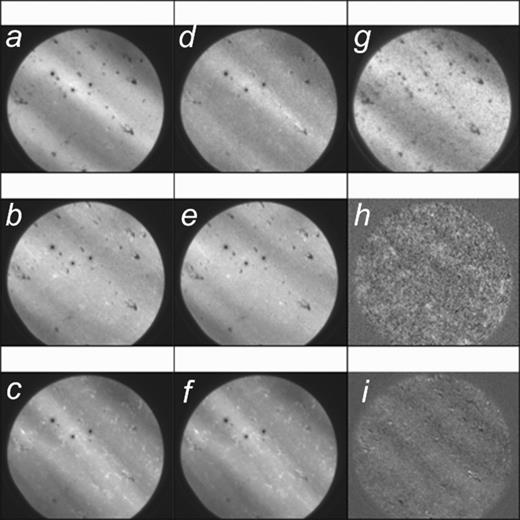 Ordered nano-scale dimple pattern formation on a titanium alloy (Ti-6Al ...