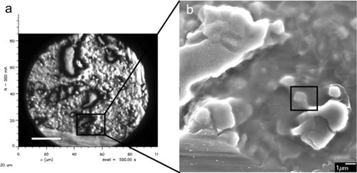 Ordered nano-scale dimple pattern formation on a titanium alloy (Ti-6Al ...
