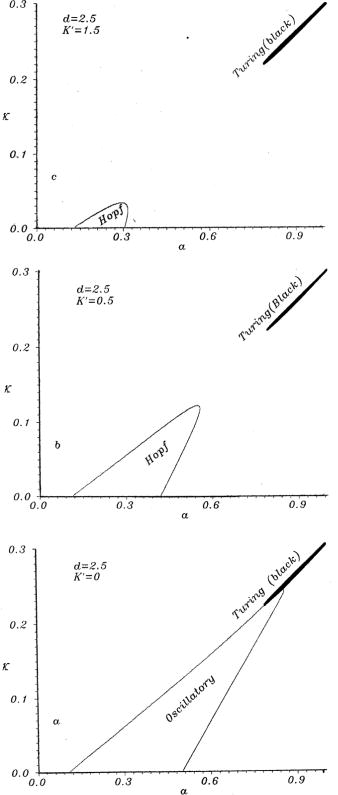 Amplitude equation for a diffusion-reaction system: The reversible Sel ...