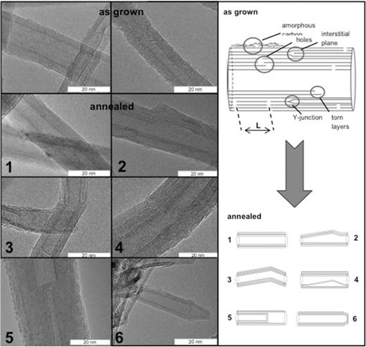 Reinforcement of CVD grown multi-walled carbon nanotubes by high ...