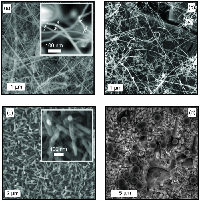 Titanium catalyzed silicon nanowires and nanoplatelets | AIP Advances ...