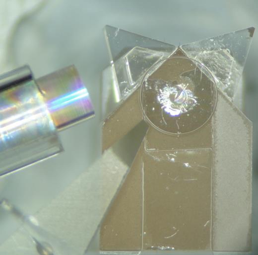 Photonic E-field sensor | AIP Advances | AIP Publishing