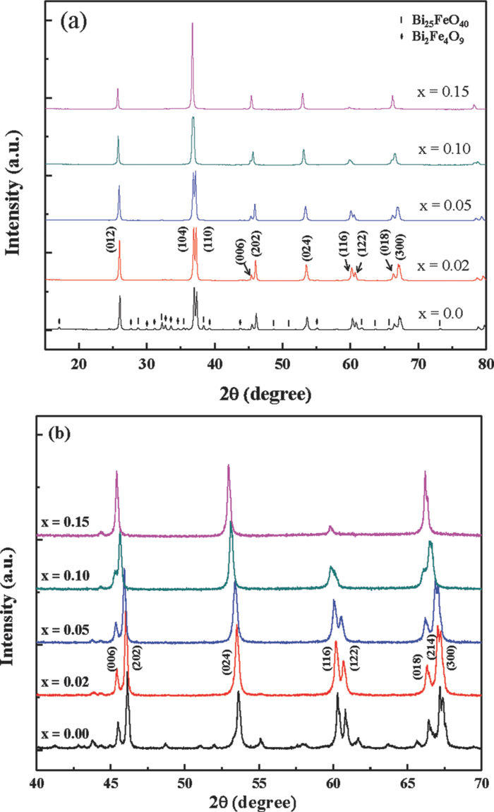 Enhancement in the multiferroic properties of BiFeO3 by charge compensated aliovalent ...