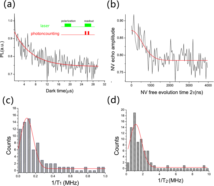 A statistical correlation investigation for the role of surface spins ...