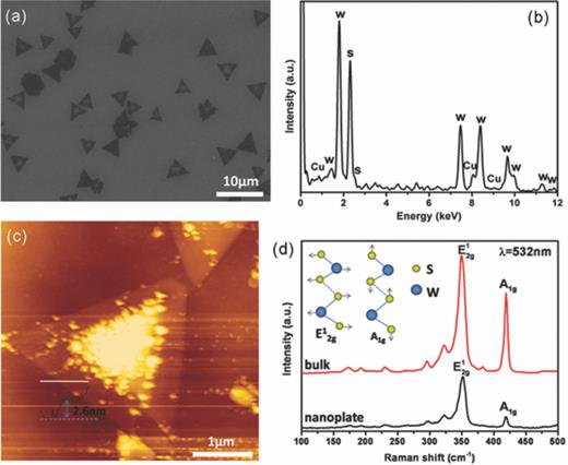 Synthesis, characterization and electrostatic properties of WS2 ...