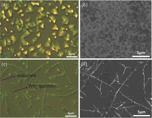 Synthesis, characterization and electrostatic properties of WS2 ...