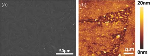 Synthesis, characterization and electrostatic properties of WS2 ...