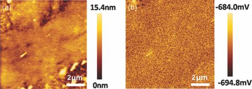 Synthesis, characterization and electrostatic properties of WS2 ...