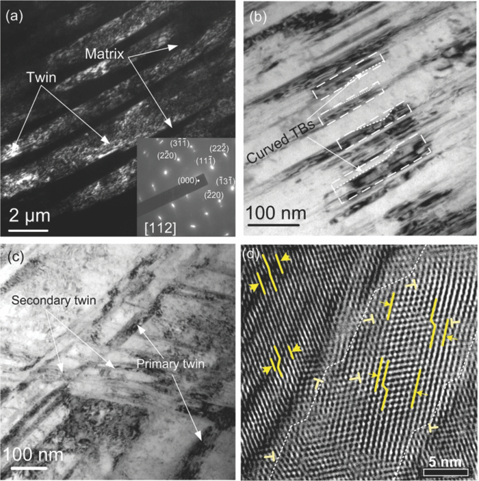Evolution and interaction of twins, dislocations and stacking faults in ...