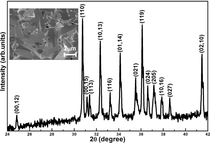 Magnetocaloric effect in multiferroic Y-type hexaferrite Ba0.5Sr1.5Zn2 ...