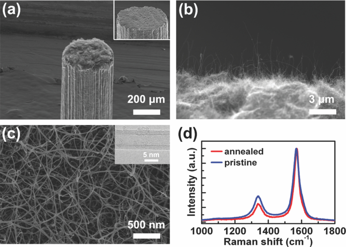 Field emission behavior of carbon nanotube field emitters after high temperature thermal ...