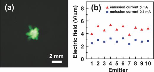 Field emission behavior of carbon nanotube field emitters after high ...