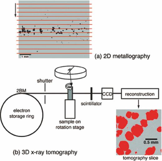 A metallography and x-ray tomography study of spall damage in ultrapure ...