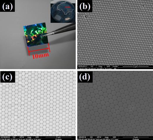 Window-assisted nanosphere lithography for vacuum micro-nano ...