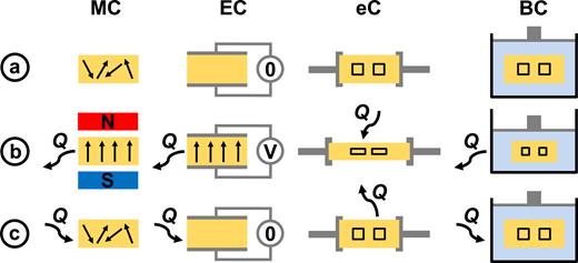 New developments in caloric materials for cooling applications | AIP ...