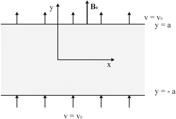 Numerical simulation of MHD pulsatile flow of a biofluid in a channel ...