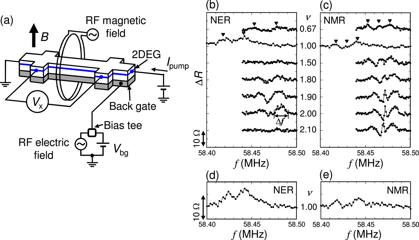 Comparison of nuclear electric resonance and nuclear magnetic resonance ...