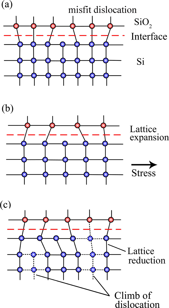 Coupled mechanical-oxidation modeling during silicon thermal oxidation ...