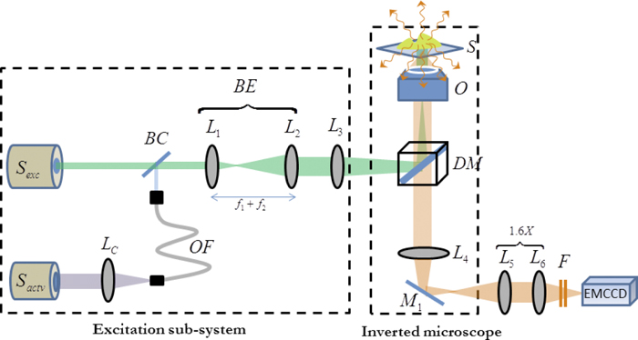 Clean localization super-resolution microscopy for 3D biological ...